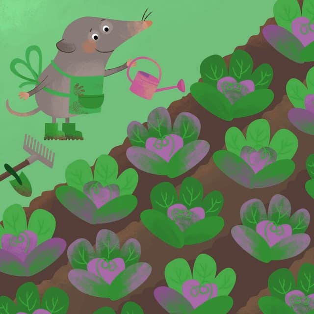 Rovkin radič | Lahkonočnice